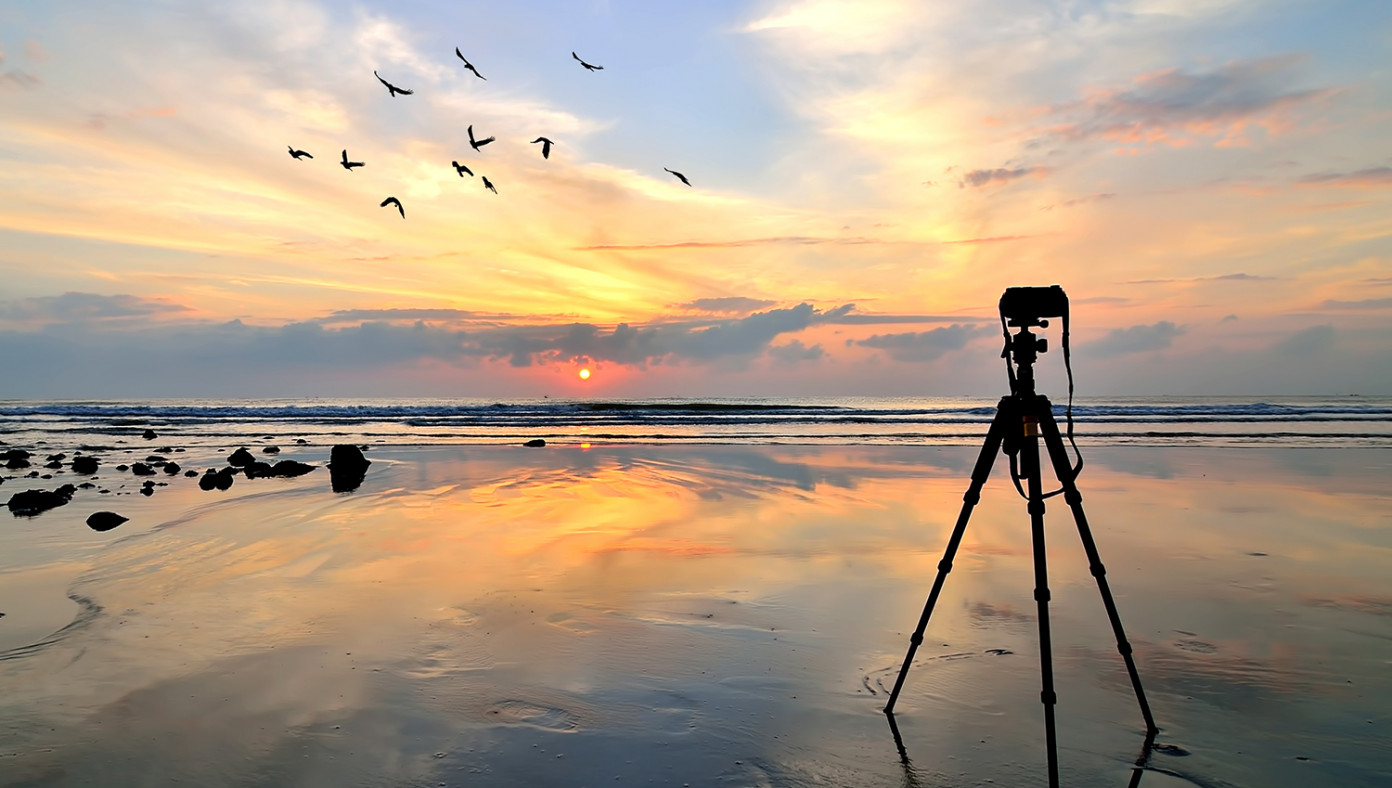 Award Winning Nature Documentary Films Itself By Random Chance